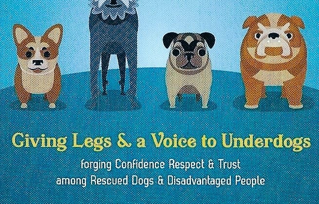 Celebrating: Reboundog is 4 years old!!!!