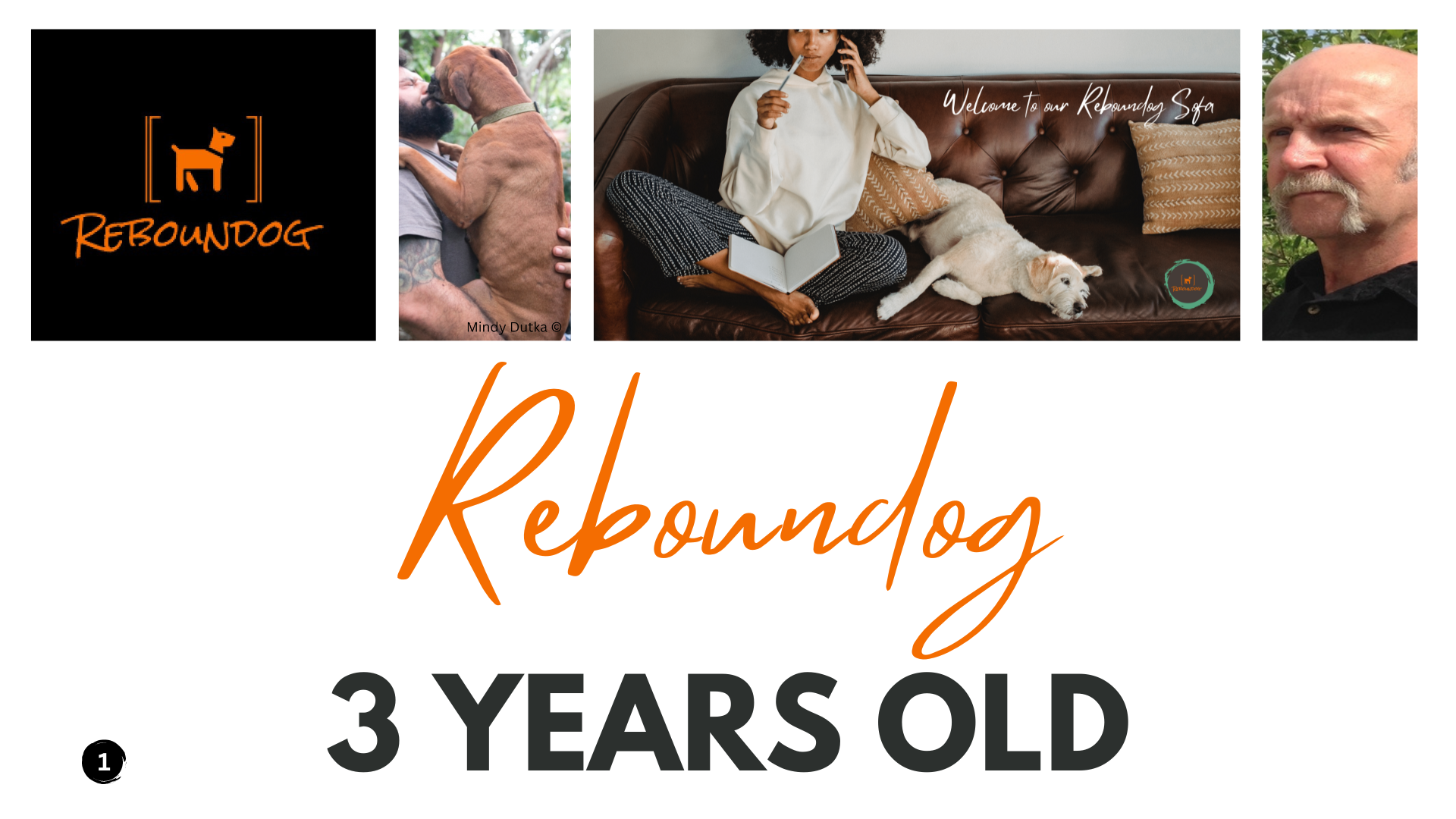 Reboundog News